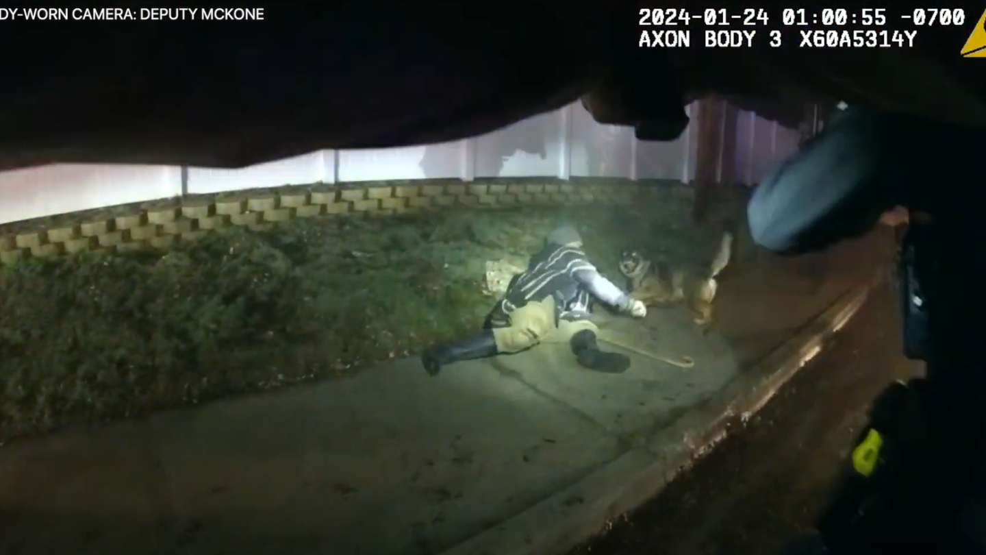 BWC: Suspect stabs 2 K-9s, swings knife at Idaho officers before fatal ...