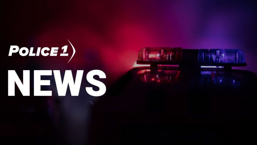 Spotlight: How ForceMetrics is empowering law enforcement with real ...