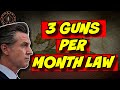 Legislature Moves On "3 Guns Per Month" Law With Stunning Admission ...
