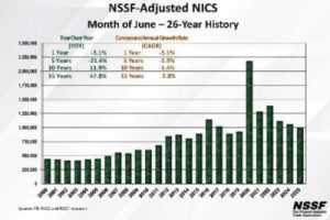Gun Background Checks Top 1 Million Again in June Despite Summer ...