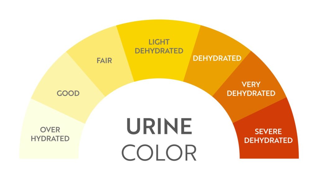 Dehydration pee color chart: Monitoring hydration - Global Ordnance News