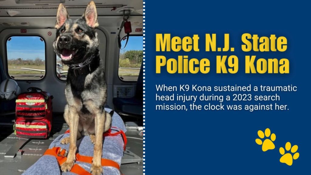 K-9 Kona’s flight to survival sparks new medevac standard for police ...