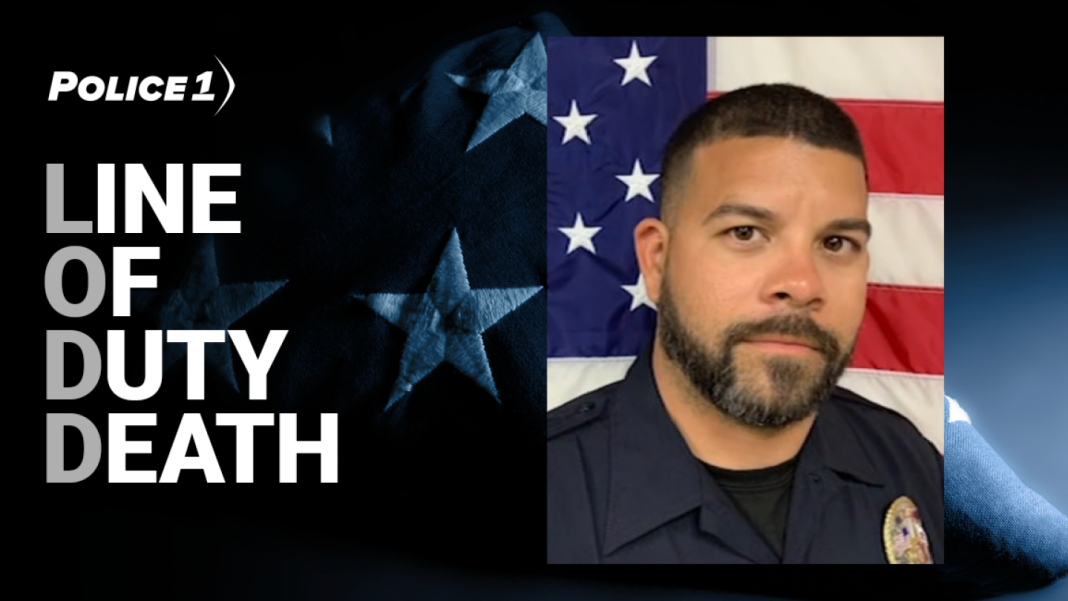 Calif. officer killed in on-duty crash - Global Ordnance News