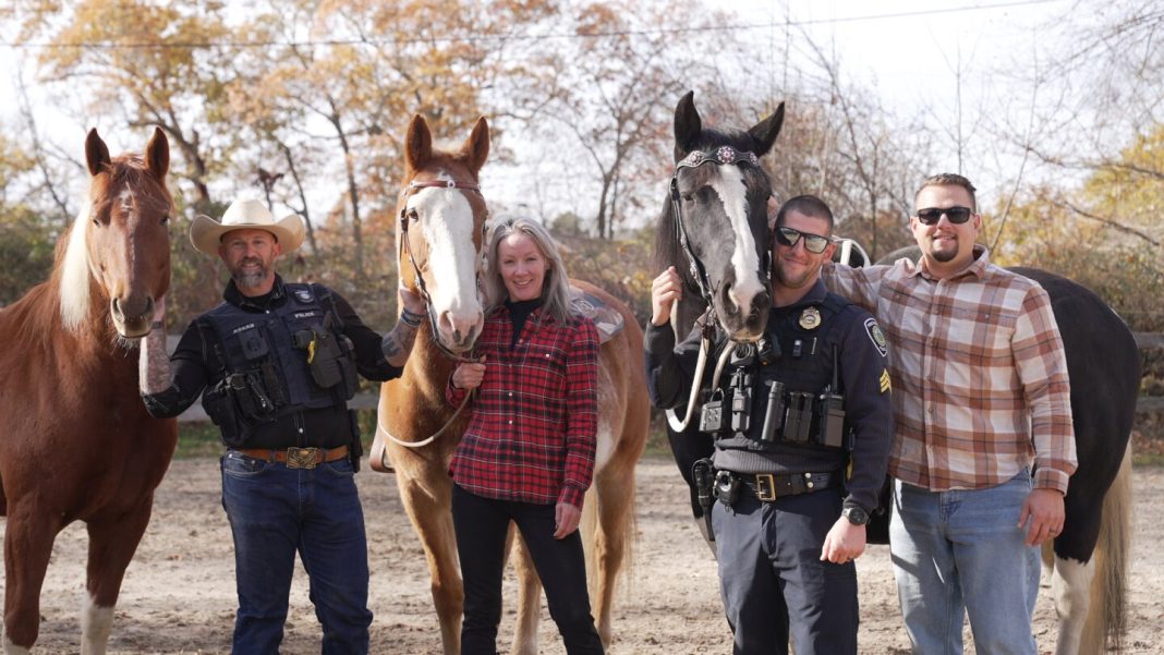 The importance of equine-assisted therapy: A call to action for law ...