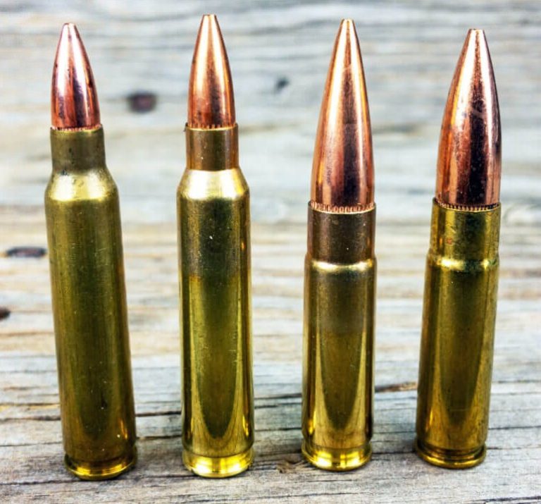 CARTRIDGE FIGHT NIGHT: .300 BLACKOUT VS. .223 By: E Nestor - Global ...
