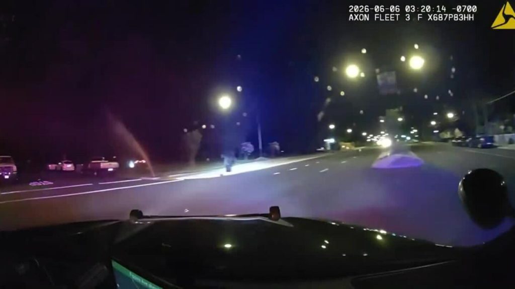 Calif. police K-9 catches suspect who hit fire hydrant during pursuit ...